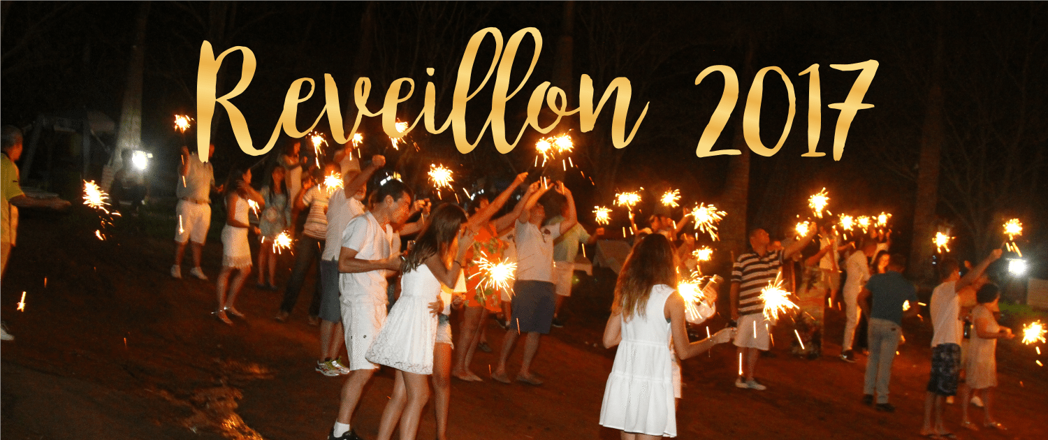 Série: Organização e decoração de festa de reveillon (parte 01)